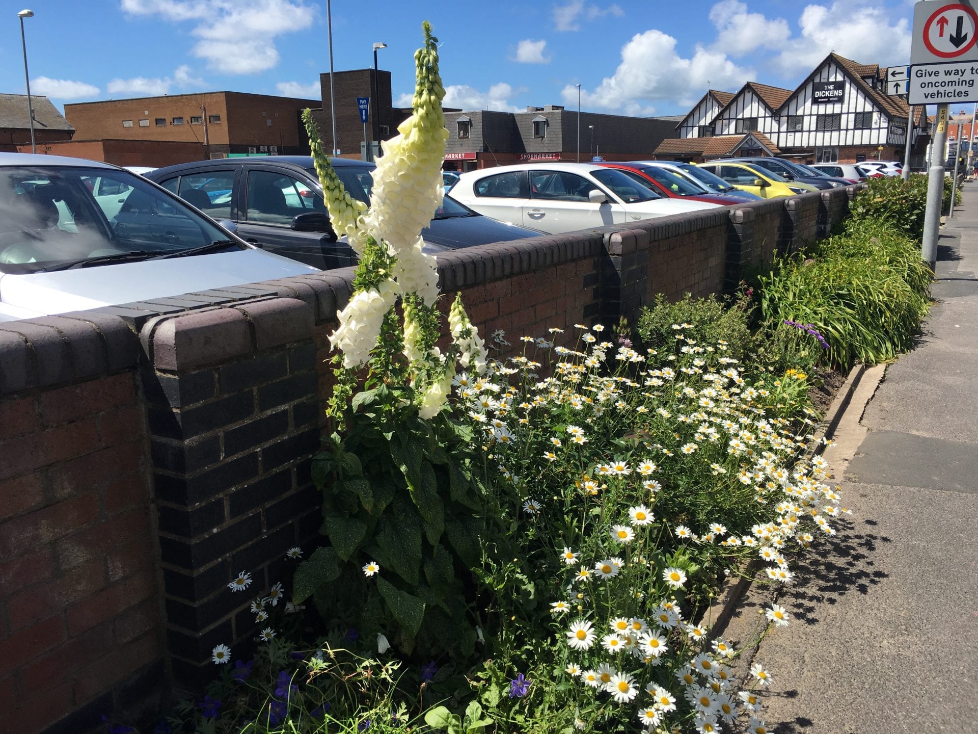 What is Care for Cleveleys? with Visit Cleveleys